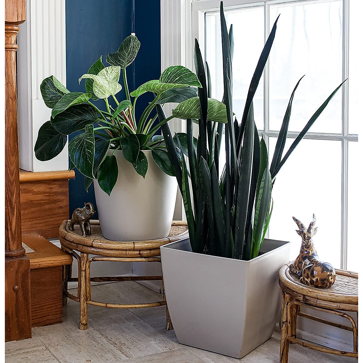 The HC Companies 8 Inch Aria Square Self Watering Planter - Plastic Plant Pot for Indoor Outdoor Plants Flowers Herbs, Matte Black