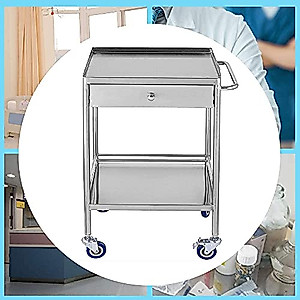 TFCFL 2-Layer Lab Cart, Stainless Steel, 20.9" x 16.5" x 34", 28kg, 4 Lockable Wheels, Omnidirectional, Wide Applications