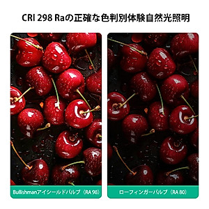 Full Spectrum Sun Light Bulb - A19 9W, Boosts Energy, Mood & Performance, Near-Perfect Color Rendering, Imitate Sunlight Indoors for a Happy Life, American Pry LED Beads,CRI of 98+, (5700K)