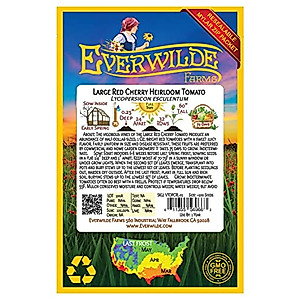 Everwilde Farms - 100 Large Red Cherry Tomato Seeds - Gold Vault Jumbo Seed Packet