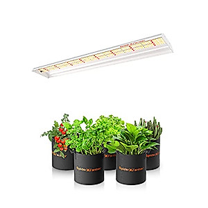 SPIDER FARMER SF-600 LED Grow Light 2x4 ft Coverage Sunlike Full Spectrum Plant Growing Lamp for Indoor Plants Hydroponics Seeding Veg Flower Energy Saving & High Efficiency Grow Lights 384 Diodes
