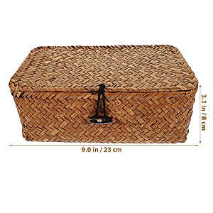 Gatuida Rectangular Wicker Baskets with Lids, Seagrass Storage Baskets with Button Multipurpose Container for Desktop,Size S
