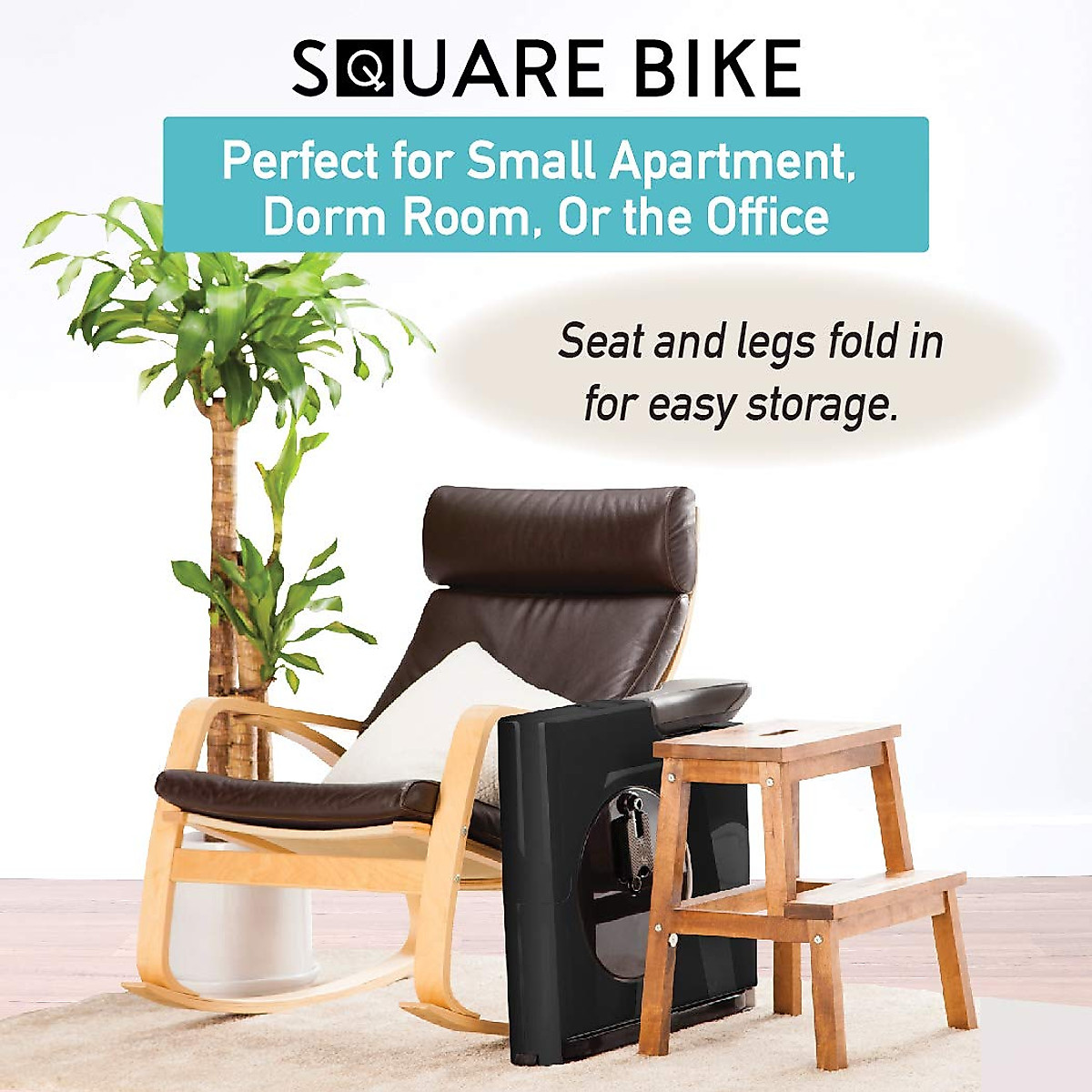 Compact Exercise Bike with 8 Levels of Magnetic Resistance - Stationary Bike For Home & Under Desk Exercise by Daiwa Felicity (Black)