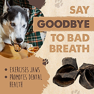 Mighty Paw Cow Hooves for Dogs (6 Pack) | Long Lasting Cow Hoofs for Dogs. Dog Chews Long Lasting. Dog Chew Bones. Dog Bones for Large and Medium Dogs. All Natural Dog Treats for Aggressive Chewers.