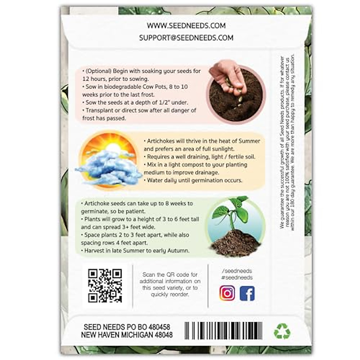 Seed Needs, Green Globe Artichoke Seeds for Planting (Cynaria scolymus) Heirloom, Non-GMO & Untreated (2 Packs)