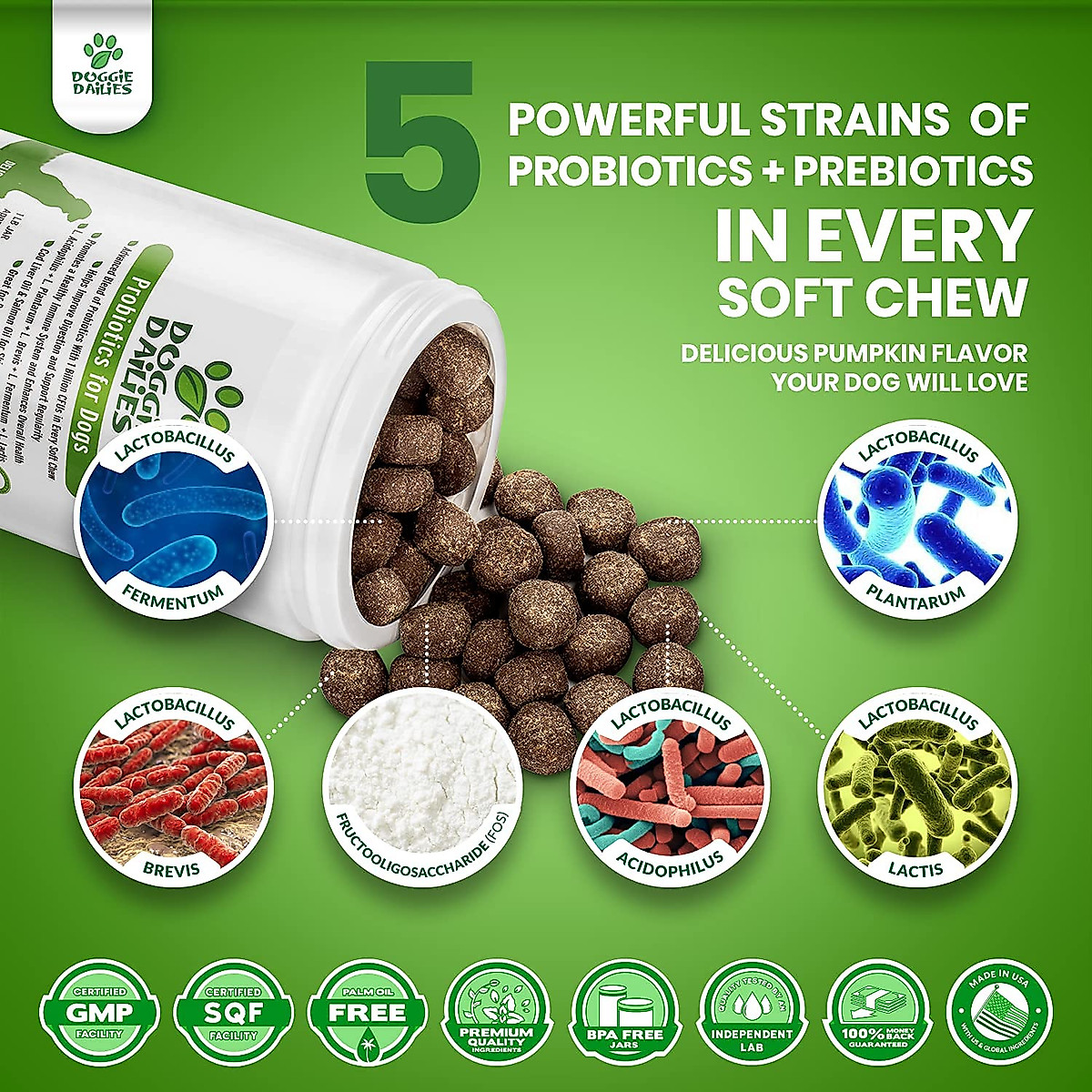 Doggie Dailies Bundle - Probiotics & Bladder Support Soft Chews