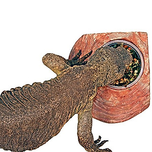 Healthy Herp Veggie Mix Instant Meal 7.5-Ounce (212.63 Grams) Jar