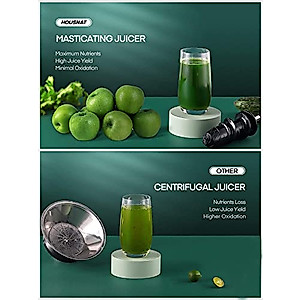 Slow Juicer Machines, HOUSNAT Cold Press Juicer Extractor for Fruits & Vegetables Easy to Clean, 2-Speed Mode with Quiet Motor & Reverse Function, Slow Masticating Juicer with Recipe (Silver Gray)