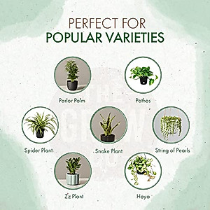 Organic Indoor Plant Food - All-Purpose Liquid Fertilizer - Best for Live Houseplants Indoors + Common Home Outdoor Plants in Pots (8 oz)