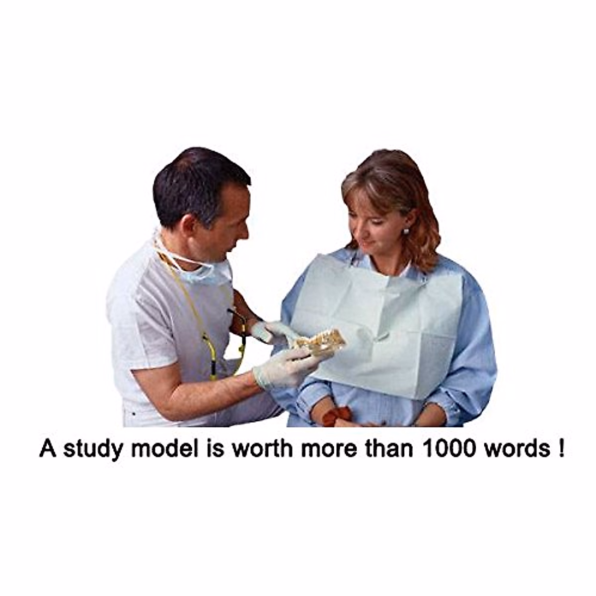 Dental Periodontal Disease assort Tooth Teeth Typodont Study Teaching Model New