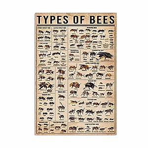 Dreacoss Bee Types Vertical Poster, Types Of Bee Poster, Knowledge Poster, Bee Lover, Honey Bee Lover,Living room wall decoration, frameless 12x16inches,12 x 16 in No Frame