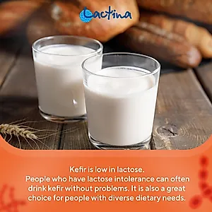 Lactina Kefir Starter Culture Probiotic May Boosts Gut Health and Digestive Wellness Naturally 10 Sachets for 10 Liters