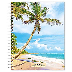 Beaches | 2024 6 x 7.75 Inch Spiral-Bound Wire-O Weekly Engagement Planner Calendar | New Full-Color Image Every Week | BrownTrout | Travel Nature Tropical