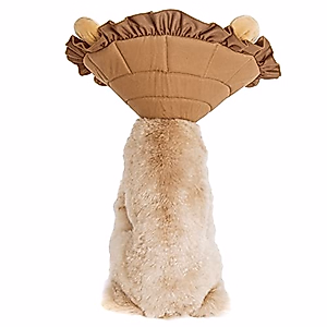 Alfie Pet - Noah Recovery Collar (for Dogs and Cats) - Pattern: Lion, Size: XS