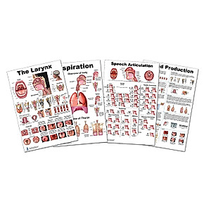 Larynx, Sound Production, Speech Articulation, Articulation LP 24x36 inch, 4 Poster Set