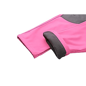 DAFENGEA Women's Snow Ski Pants Fleece Hiking Waterproof Windproof Softshell Outdoor Snowboard Pants,CFK1682W-Pink-S