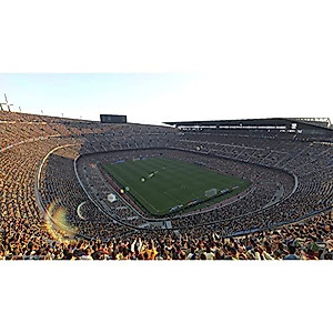 Pro Evolution Soccer 2019 (PS4)