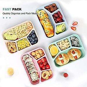 4 Pack Bento Lunch Box, 4 Compartment Meal Prep Containers, Lunch Box for Kids, Durable BPA Free Plastic Reusable Food Storage Containers - Stackable, Suitable for Schools, Companies,Work and Travel
