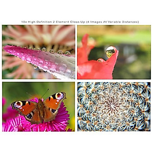 Professional High Definition Lens Accessory Package for SONY ALPH NEX CAMERAS - 40.5mm & 49mm - (NEX-3 Series NEX-5 Series NEX-6 Series NEX-7 Series) Includes: 2.2x Telephoto Lens + 0.43x Wide Angle + 0.42x Fish-eye Lens + (+10) Close-Up lens + 3 Essentia