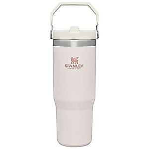 Stanley IceFlow Stainless Steel Tumbler with Straw - Vacuum Insulated Water Bottle for Home, Office or Car - Reusable Cup with Straw Leakproof Flip - Cold for 12 Hrs or Iced for 2 Days