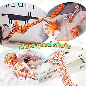 SIT ZIT 6 Pack Ferret Toys Durable Knotted Rope Tug Perfect for Teething Mammals Cotton Rope Chew Toys Interactive Dog Rope Toy Set Machine-Washable