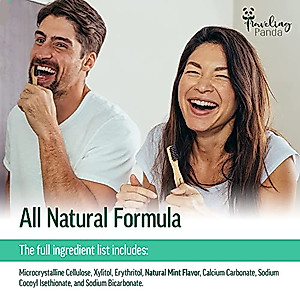 Traveling Panda, Travel Toothpaste Tablets, Chewable Charcoal Whitening Tabs, No Water Required Perfect Traveling Essentials for On The Go Teeth Brushing, Vegan and No Sugar, Mint 60 Tablets