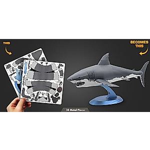 Fascinations Metal Earth Great White Shark 3D Metal Model Kit Bundle with Tweezers