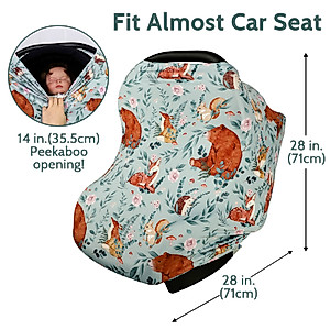 Baby Carseat Cover Boys & Girls, Peekaboo Opening Minky Carseat Canopy, Woodland Animals