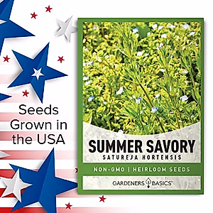 Summer Savory Seeds for Planting is A Heirloom, Non-GMO Herb Variety- Satureja Hortensis Herb Seeds Great for Indoor, Outdoor, Hydroponic Gardening by Gardeners Basics