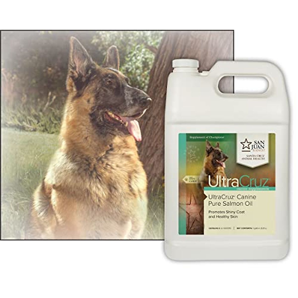 UltraCruz Canine Pure Salmon Oil, 1 Gallon