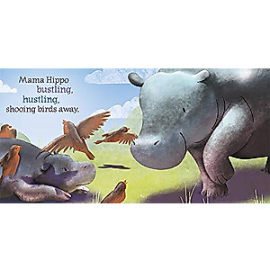 Little Hippo (Little Animal Friends)