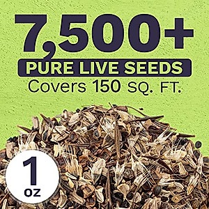 Sweet Yards Seed Co. Cut Flower Garden Seeds - Extra Large 1 Ounce Packet - Over 7,500 Fresh Open Pollinated Non-GMO Wildflower Seeds - Long Lasting Annuals and Perennials with Bright Colors