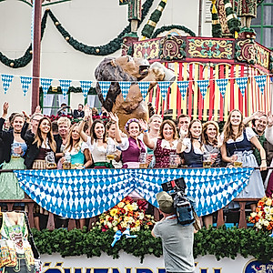 Oktoberfest Fabric Bunting, Oktoberfest Bunting with Oktoberfest Bavarian Pennant Banner for Oktoberfest Party,German Bavarian Beer Festival Decoration Supplies