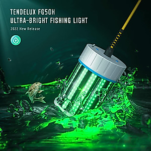 Tendelux Ultra-Bright Underwater Fishing Light, 110V & 12V Green LED Submersible Light Attractants for Docks, Boats or Kayaks, IP68 Rated for Fresh & Salt Water (30ft Cable)