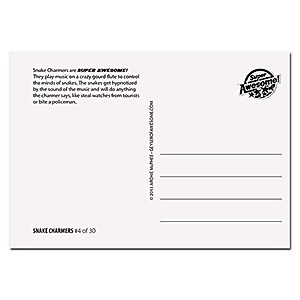 Accoutrements Super Awesome Postcard Book