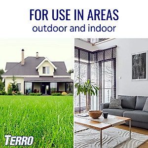 TERRO T401-6 Indoor and Outdoor Ant Killer Aerosol Spray - Kills Ants, Cockroaches, Crickets, Scorpions, Spiders, and Other Insects - 16 Oz
