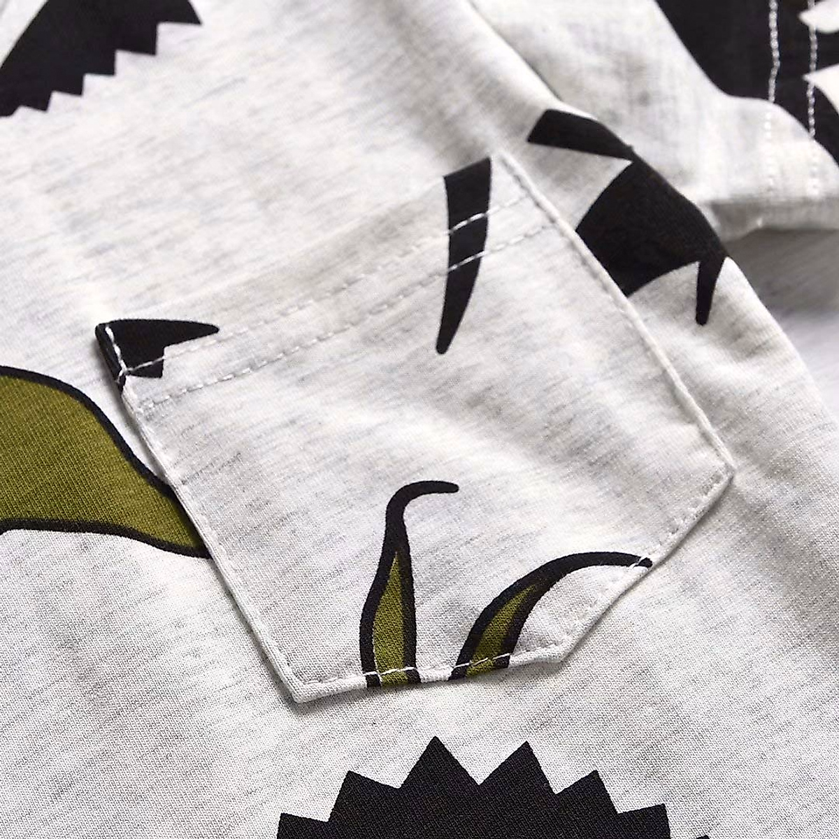 2T Boys Clothes Toddler Boys Summer Outfits Dinosaur T-Shirt & Shorts Set 2 Piece，Green Dino 2-3T/90cm