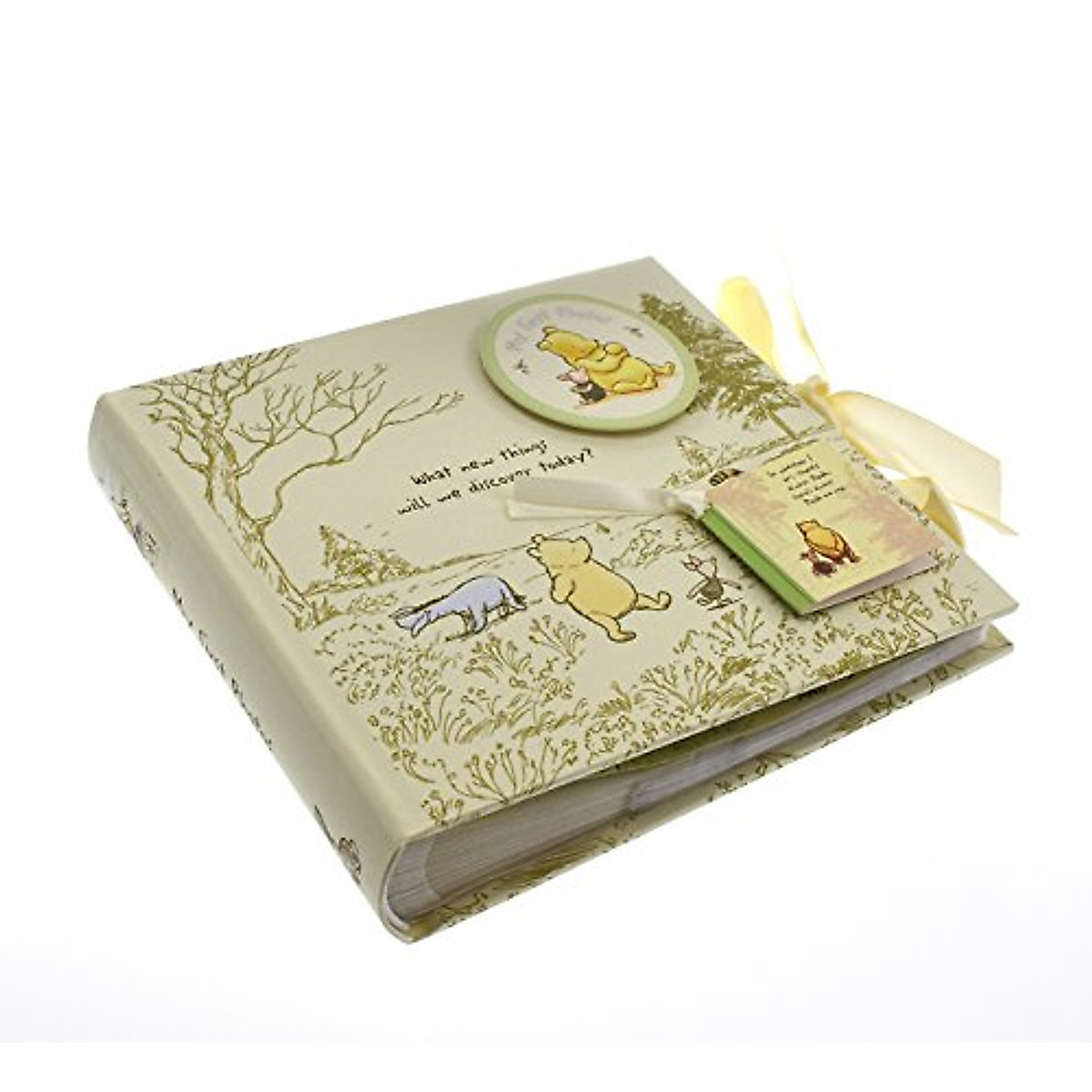 Disney Magical Beginnings Classic Pooh My First Photos Baby Album for 6 x 4 Photographs New (DI165), 200 g WBM-GFT45