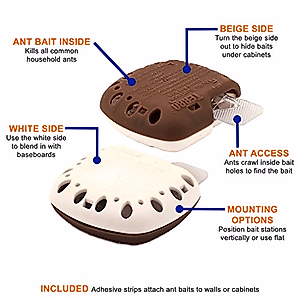 TERRO T334B Indoor Multi-Surface Liquid Ant Bait and Ant Killer - 4 Discreet Ant Bait Stations - Kills Common Household Ants