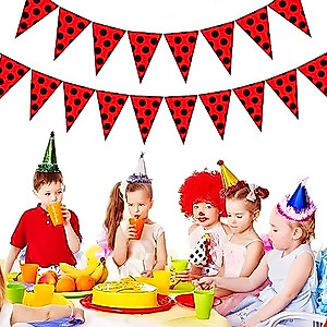 Ladybug Party Decoration Banner Ladybug Birthday Party Supplies Girls Birthday Party Decorations