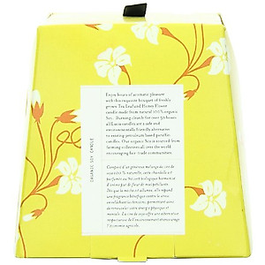 Lucia Candle, Tea Leaf and Honey flower, 0.47 Ounce