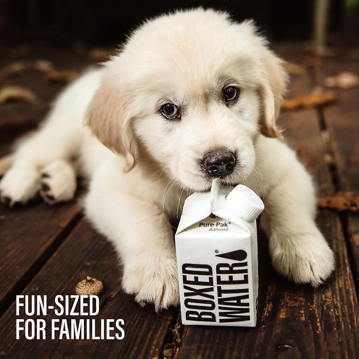 Boxed Water 8.5 oz. (24 Pack) – Purified Drinking Water in 92% Plant-Based Boxes, 100% Recyclable, BPA-Free, Refillable Cartons, Sustainable Alternative to Plastic Bottled Water, Mini Water for Kids