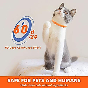 Calming Collar for Cats - 2 Pack Adjustable Natural Pheromone Kitten Collars Reduce Anxiety