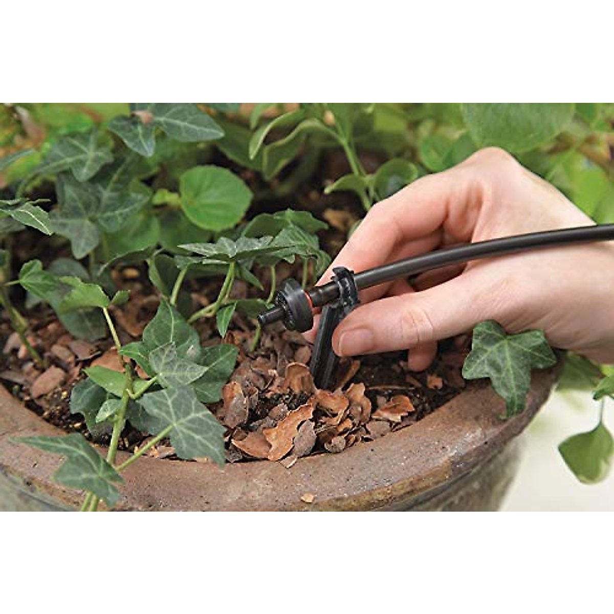 Raindrip R560DP Automatic Drip Irrigation Watering Kit with Timer for Containers and Hanging Baskets, Waters up to 20 Plants, Includes Timer with Customizable Settings and 20 PC Drippers,Black