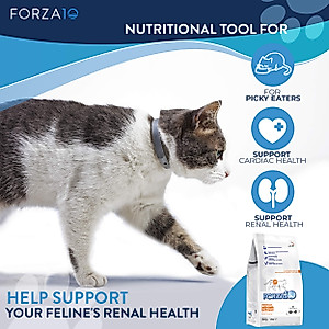 Forza10 Active Kidney Renal Diet Dry Cat Food for Adult Cats, Kidney Care Cat Food for Heart and Kidney Problems, Wild Caught Anchovy Flavor, 2 Pound Bag