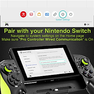 Hawksbill Nintendo Switch Compatible Handheld Controller, Plug and Play, Charging, Turbo and Auto Function