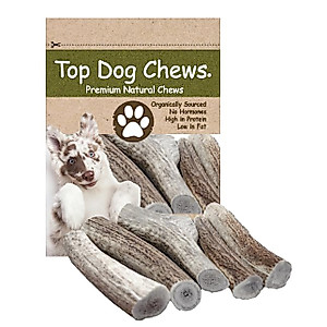 Top Dog Chews Premium Large Thick Elk Antler 5 Pack Dog Chew Treat Made in USA Brown