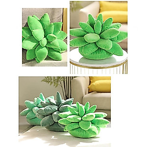 Evaner 3D Succulents Cactus Pillow, Cute Succulents, for Garden or Green Lovers Baby Green Plant Throw Pillows for Bedroom Room Home Decoration Novelty Plush Cushion,Blue