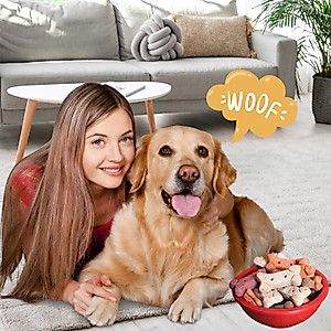 KAISHANE Bone Cookie Cutters Set, 3 PCS Dog Bone Biscut Cutters Set Stainless Steel with Red Environmental PVC for DIY Baking Fondant Cake Molds Dog Treats - 3.9/3.1/2.4IN