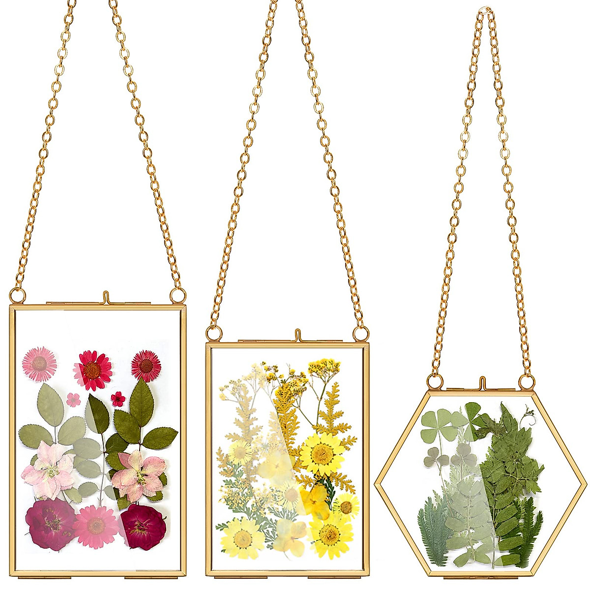 AVLA 3 Pack Pressed Flowers Glass Frames, Brass Hanging Picture Frames with Chain, Small Golden Floating Photo Frame, Clear DIY Artwork Display Frame for Wall Decor, Dried Plant Specimen